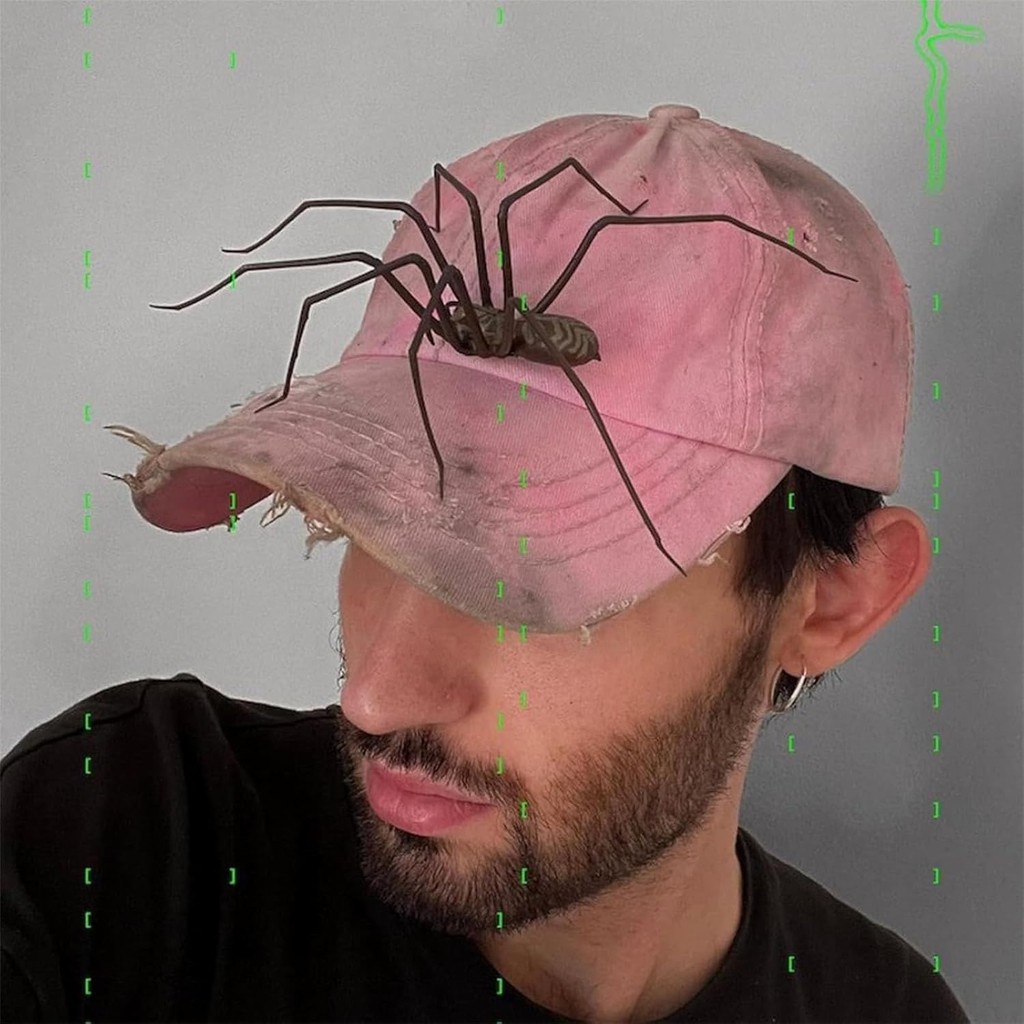 3D Spider Fridge Magnet, Realistic Spider Magnet Refrigerator Sticker ...