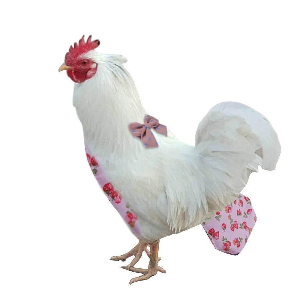 Luding Chicken Dung Pocket Diapers Keer Duck Diapers Pigeon Parrot ...
