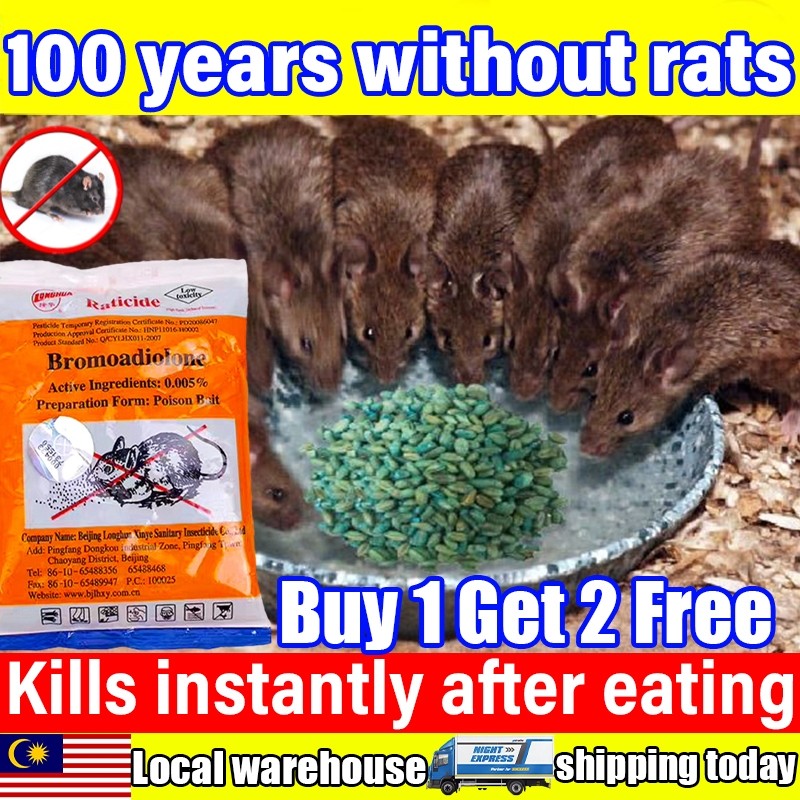 100 years without rats Racun tikus paling kuat 150g buy 1 get 2 Racun ...