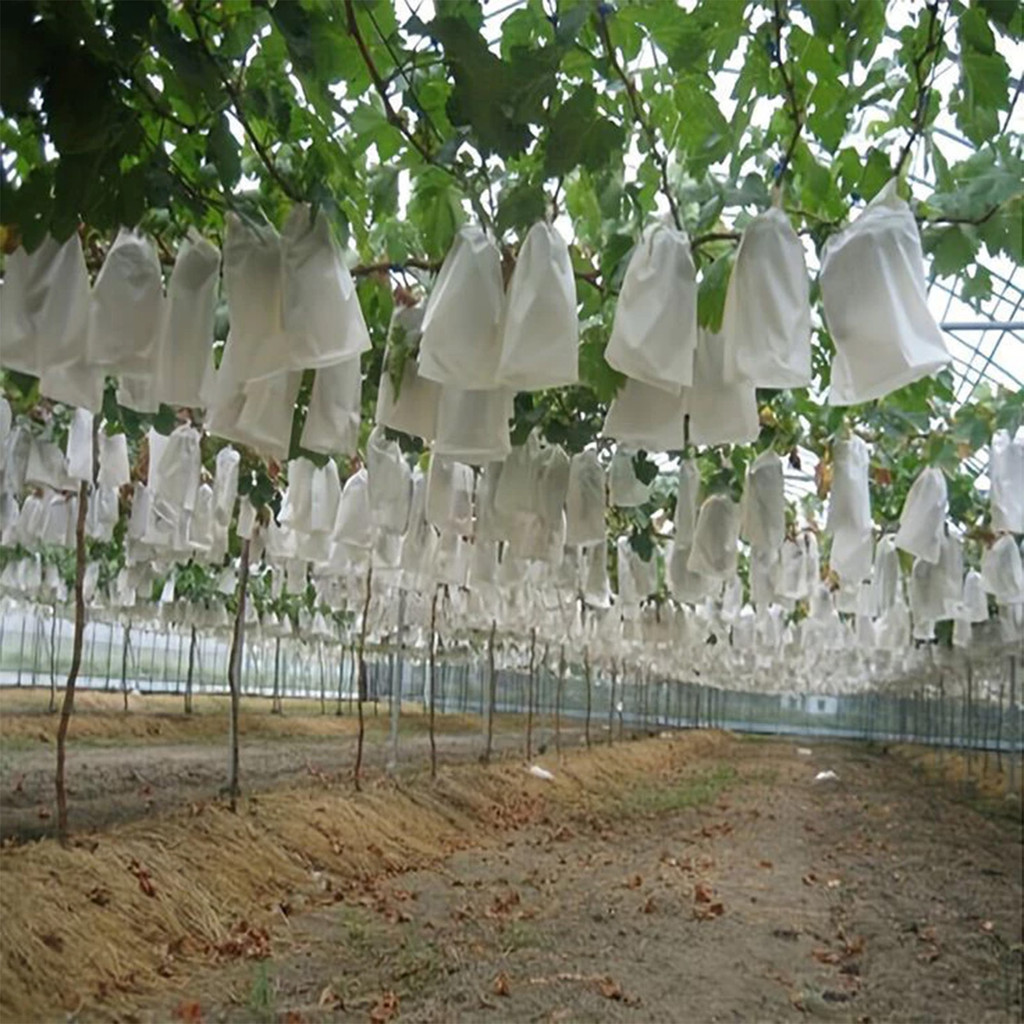 100 sheets of fruit wrapping bags, mango wrapping bags, used to wrap to ...