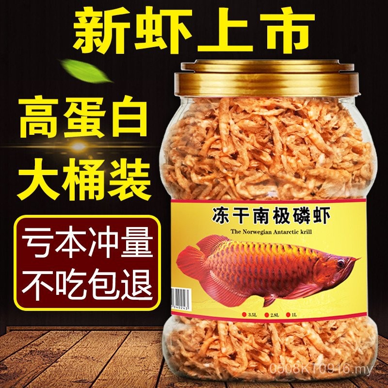 Turtle Fish Food Dried Shrimp Dried Shrimp Dried Shrimp Fish Arowana ...