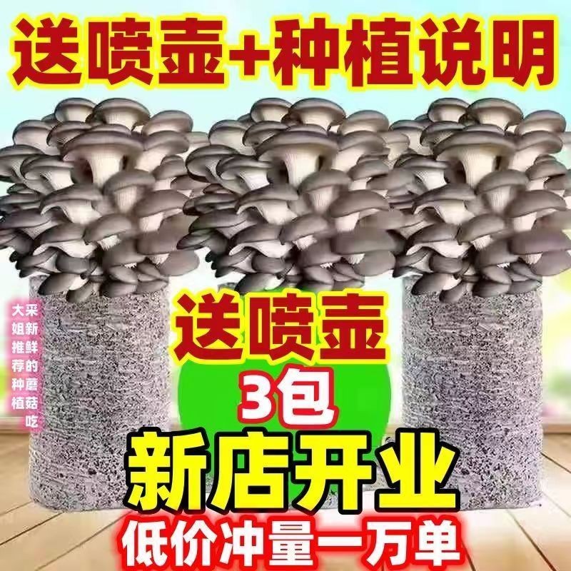 [Buy One Shot Three] Household Planting Mushroom Bacteria Pack Edible ...