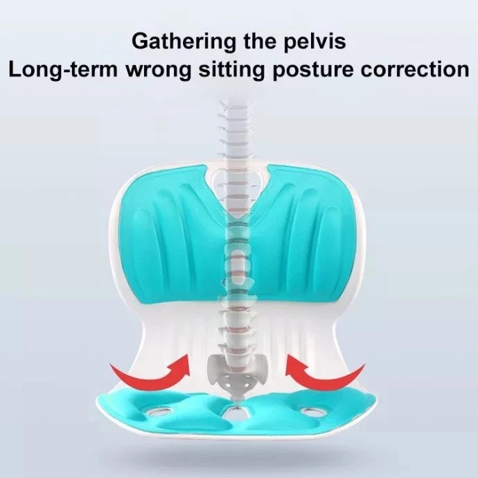 Waist Support Cushion Floor Chair Prevent Hunchback Posture correct ...