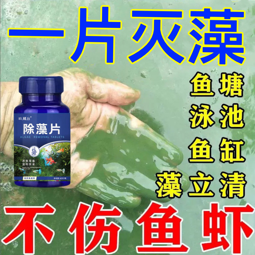 Fish Tank Algae Removal Tablets Green Water Black Hair Brown Algae ...