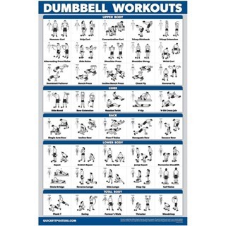 Pop Poster Wall Art Life Canvas Dumbbell Workout Exercise Poster Free ...