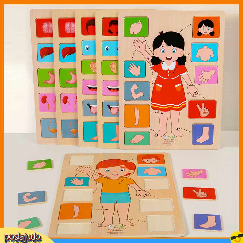 [poslajudo] Educational Anatomy Puzzle Solid Wood Body Puzzle Wooden ...