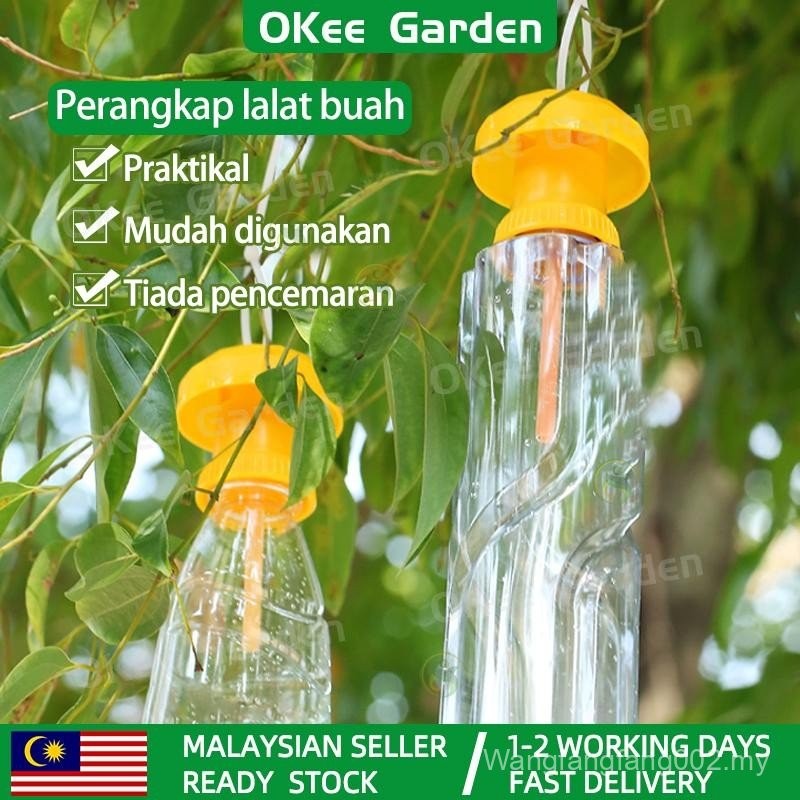 [OKee]Malaysia dalam stok Buah Fly Trap Pheromone Yellow Attractant ...