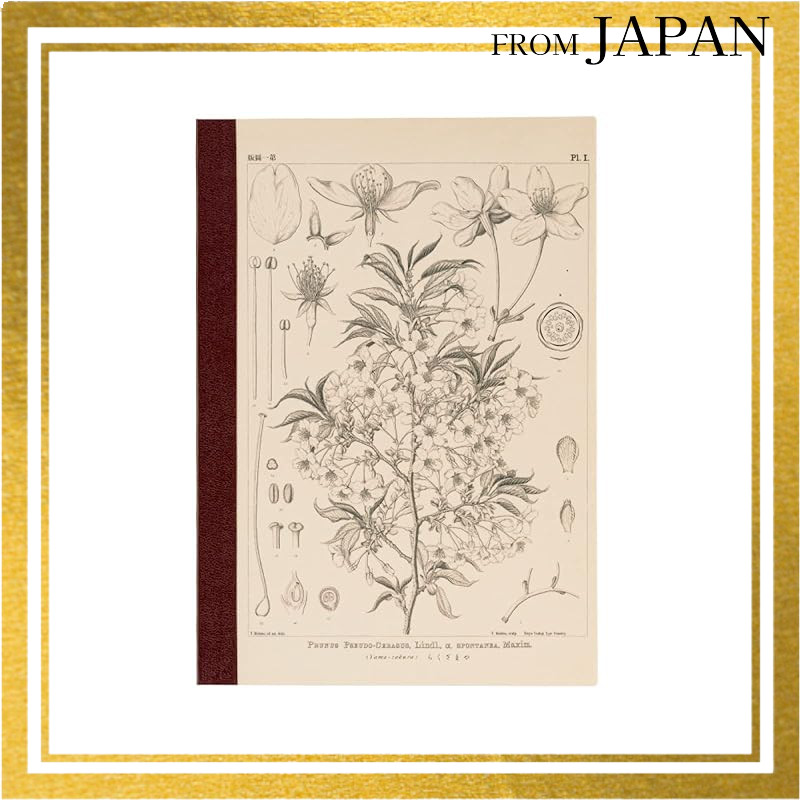 Hobonichi Techo and Grid Notebook Set - Cherry Blossom Design A5/A6 ...