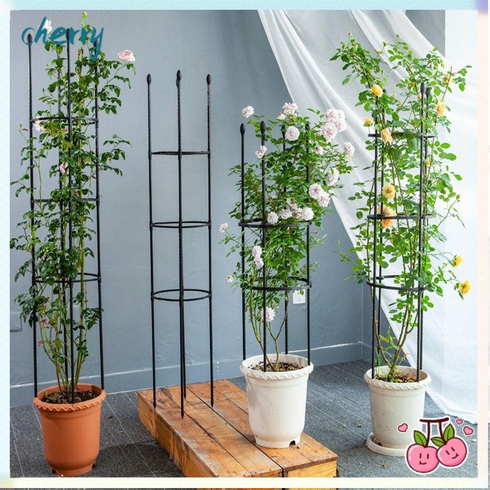 CHERRY Garden Trellis, Stackable Infinitely Spliceable Plant Support ...