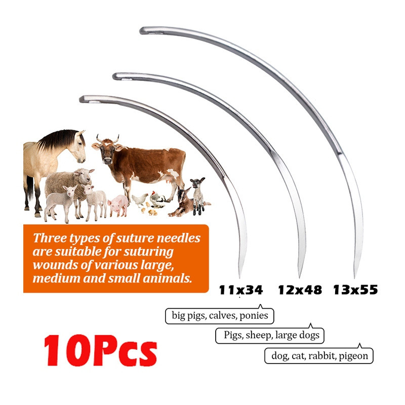 10Pcs Stainless Suture needles Veterinary Surgical Suture curve needle ...