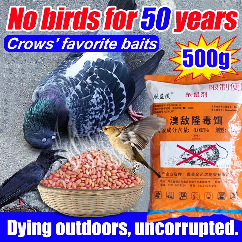 【In Stock】Racun burung Bird killer 500g Bird repellent pigeon poison ...