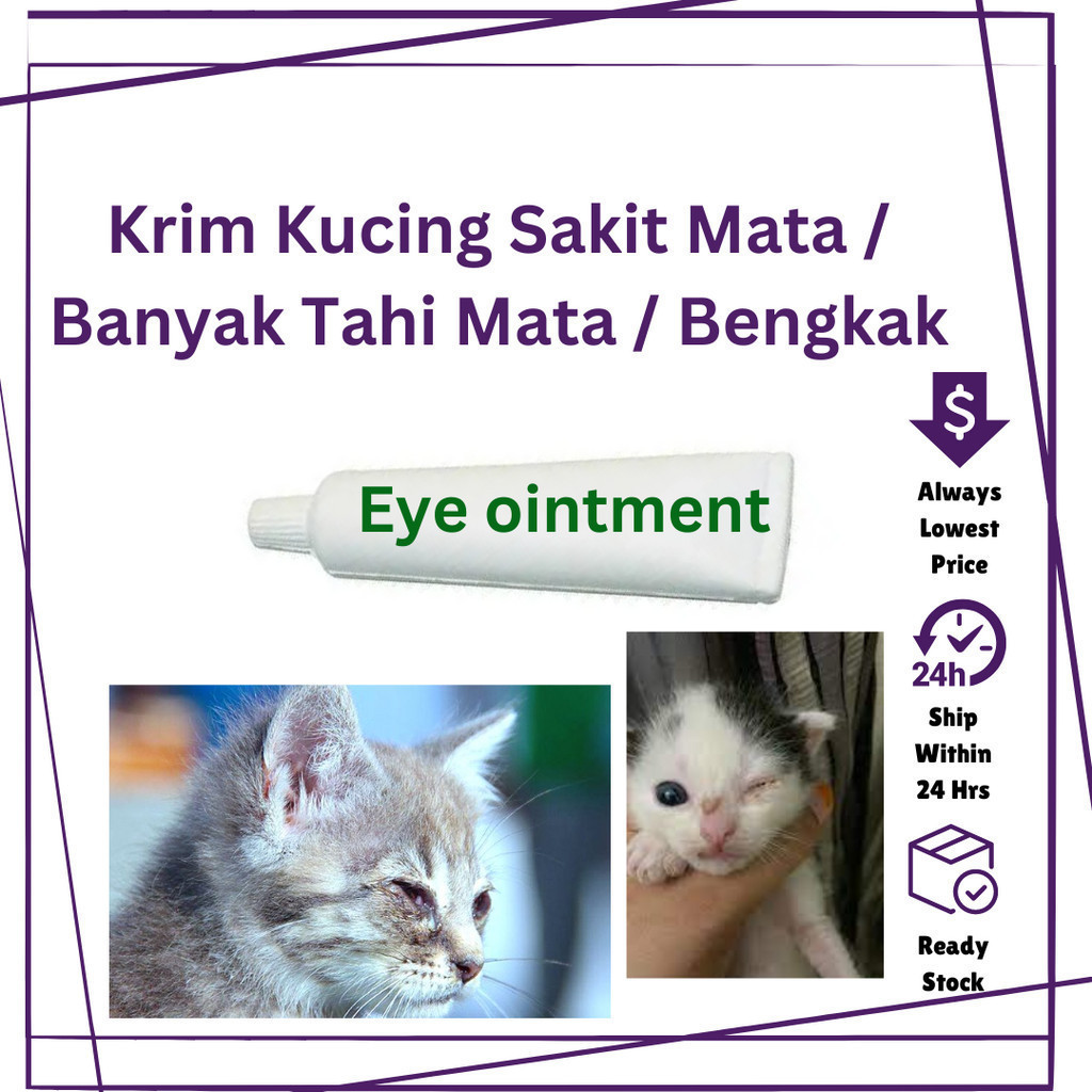 Sakit Mata / Bengkak / Banyak Tahi Mata / Luka di badan Untuk Kucing ...