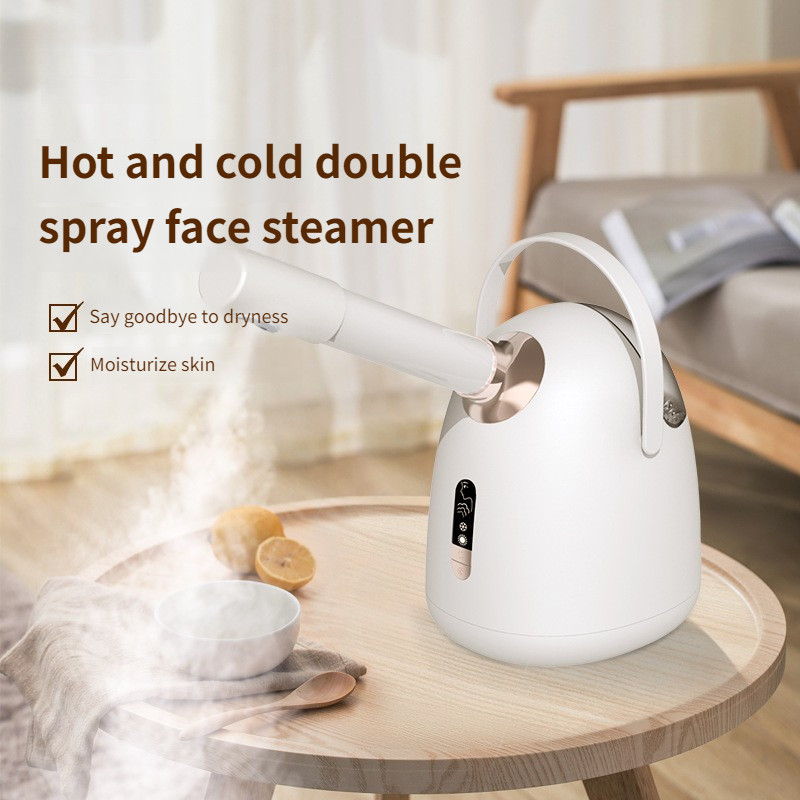 Household Hot and Cold Facial Steaming Device Beauty Salon Small ...