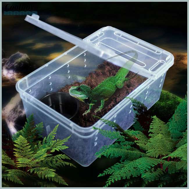 COOLBOY Transparent Feeding Box Reptile Box Amphibian for Snake Cage ...