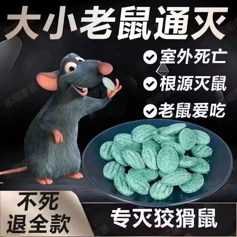 Insect repellent Mouse Poison Rat Killer Handy Tool Super Bait Mouse ...