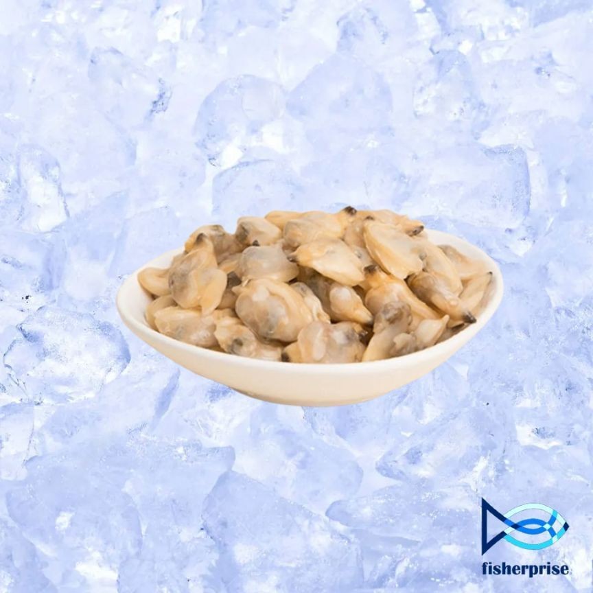 Frozen Clam Meat 啦啦肉 (500g) | Shopee Malaysia