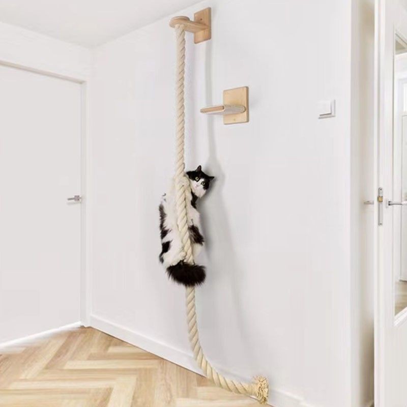 Cat Climbing Frame Standing on the Earth Cat Climber Solid Wood Cat ...