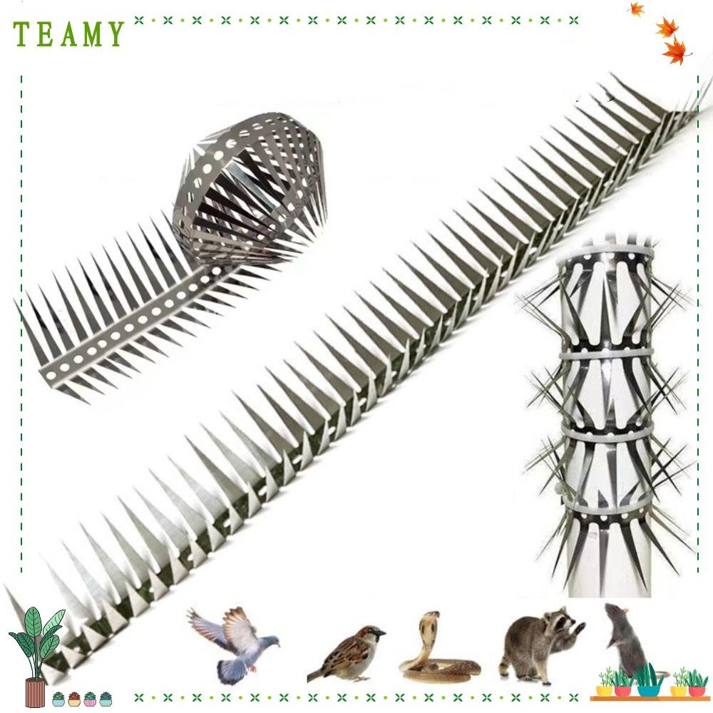 TEAMY Anti-Bird Spikes, 50cm Stainless Steel Anti Spikes, Entangle ...