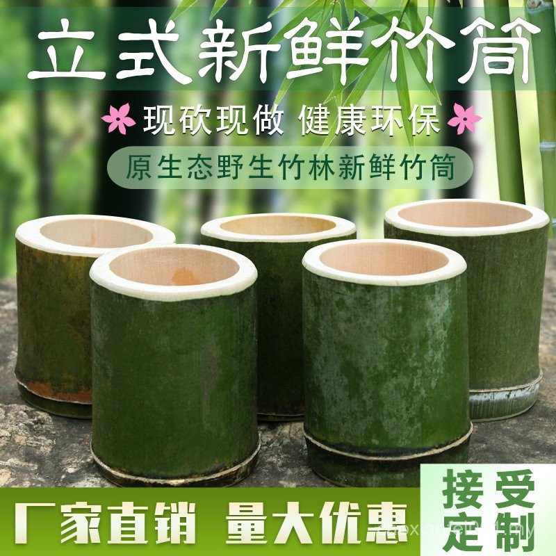 Fresh Bamboo Tube Vertical Bamboo Tube Rice Steam Tube Bamboo Tube Soup ...