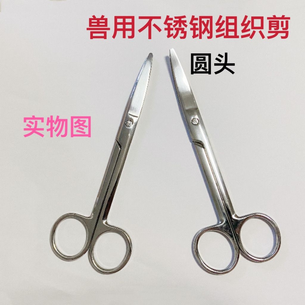 Stainless Steel Veterinal Tidying Scissors Straight Round Curved Round ...