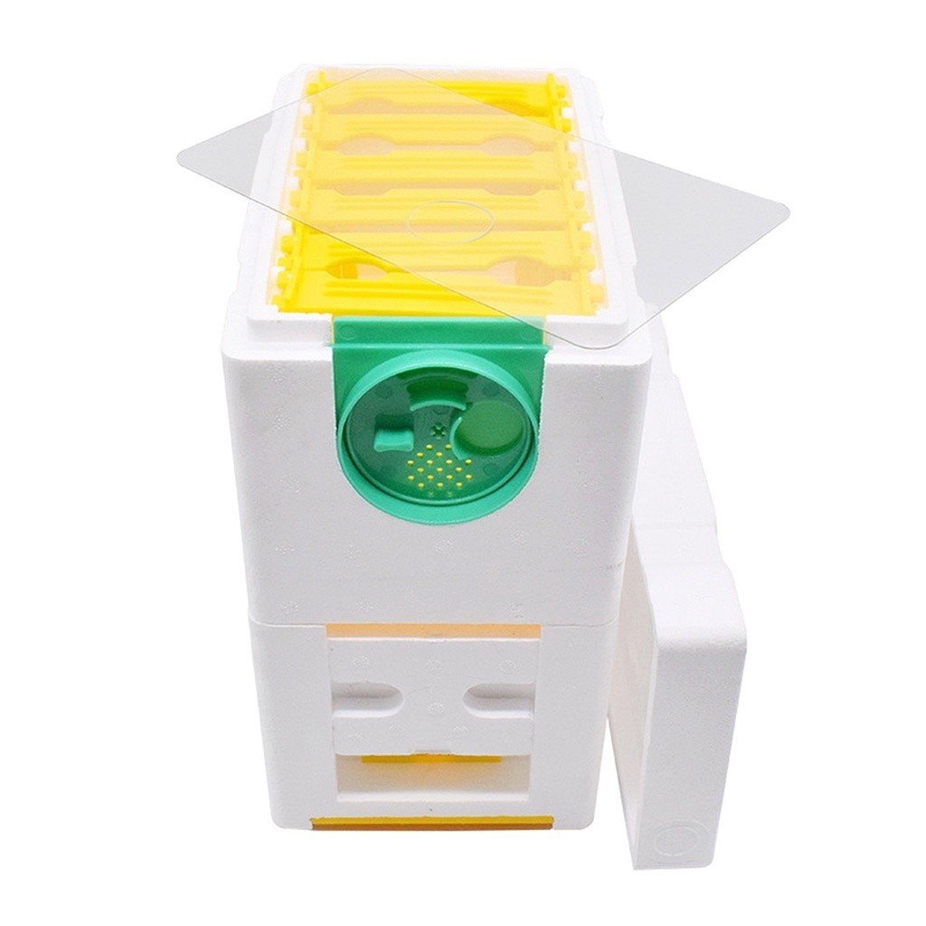 QQDO Beekeeping King Box Harvest Bee Hive Beehive Nest Harvest Bee Hive ...