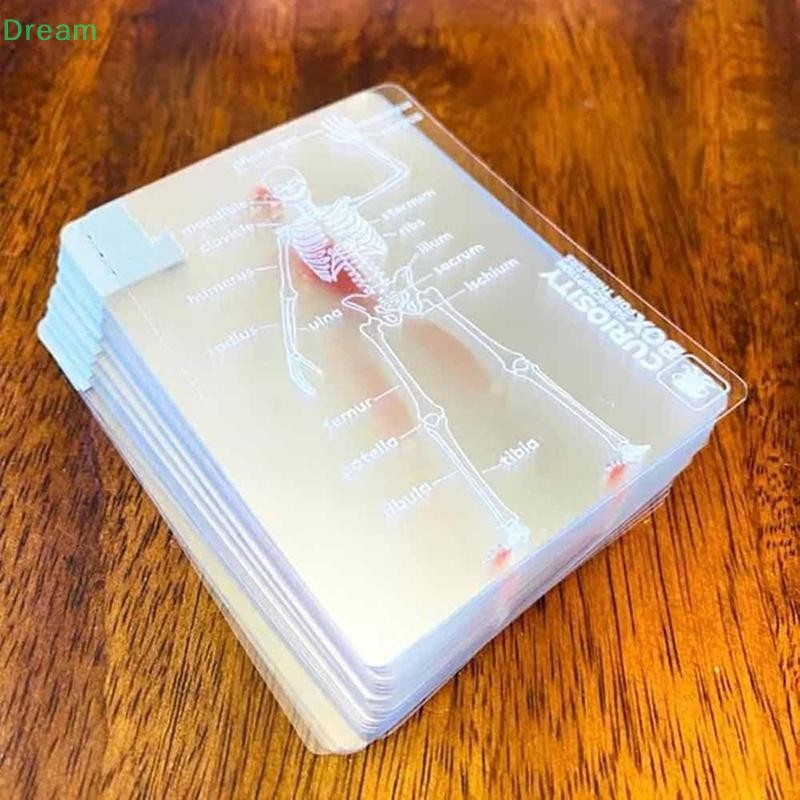 Human Anatomy Playing Cards The Body Deck Funny Transparent Human ...