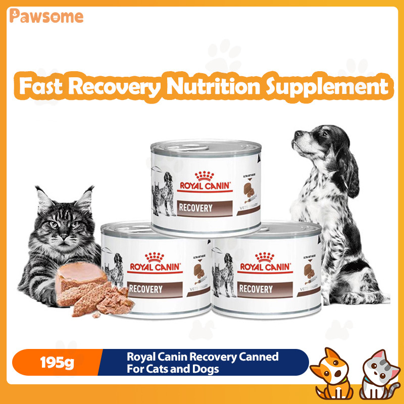 Royal Canin Cat&Dog Recovery Canned Wet Food Postoperative ...