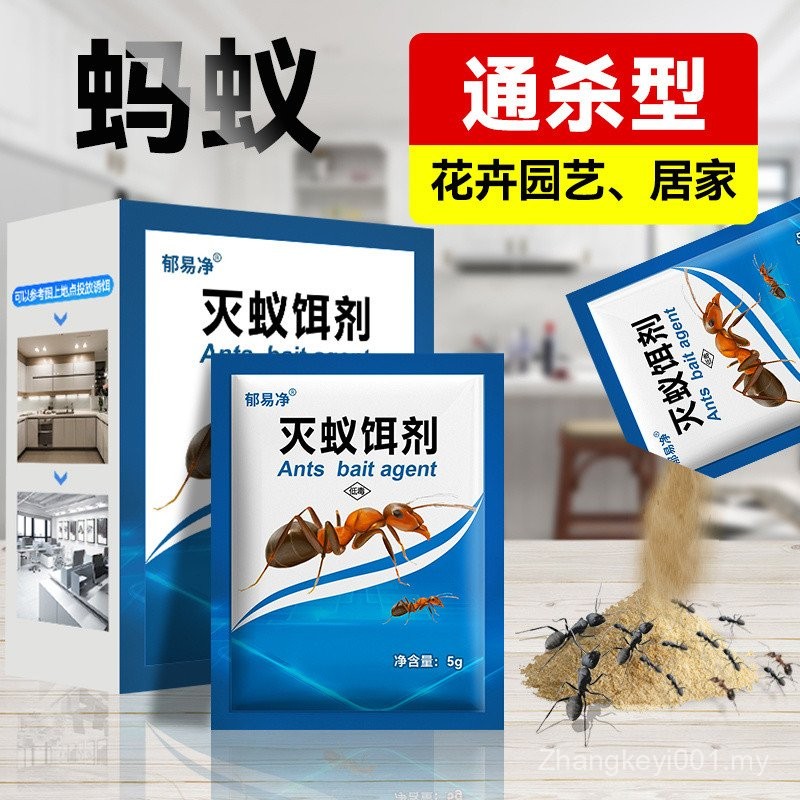 Killing Ants One Nest Powerful Effects Killing Ants Clearing Anti-Ants ...