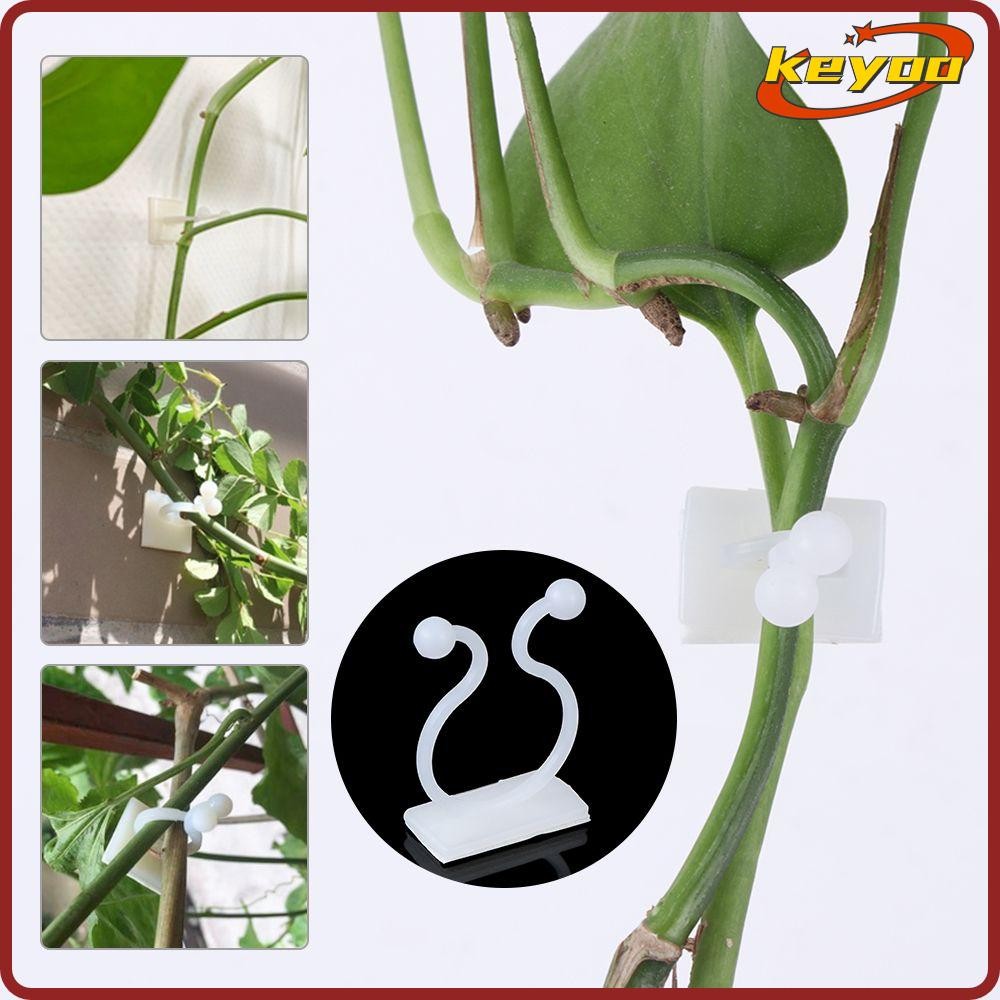[KEYOO] 10/50PCS Plant Clip Wall Sticky Hook Invisible Climbing Wall ...