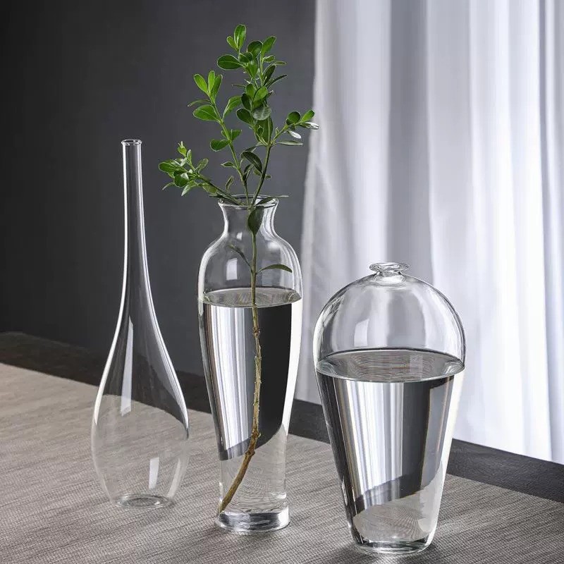 Shopee Official Glass Vase Transparent Zen Chinese Small Mouth Fine ...