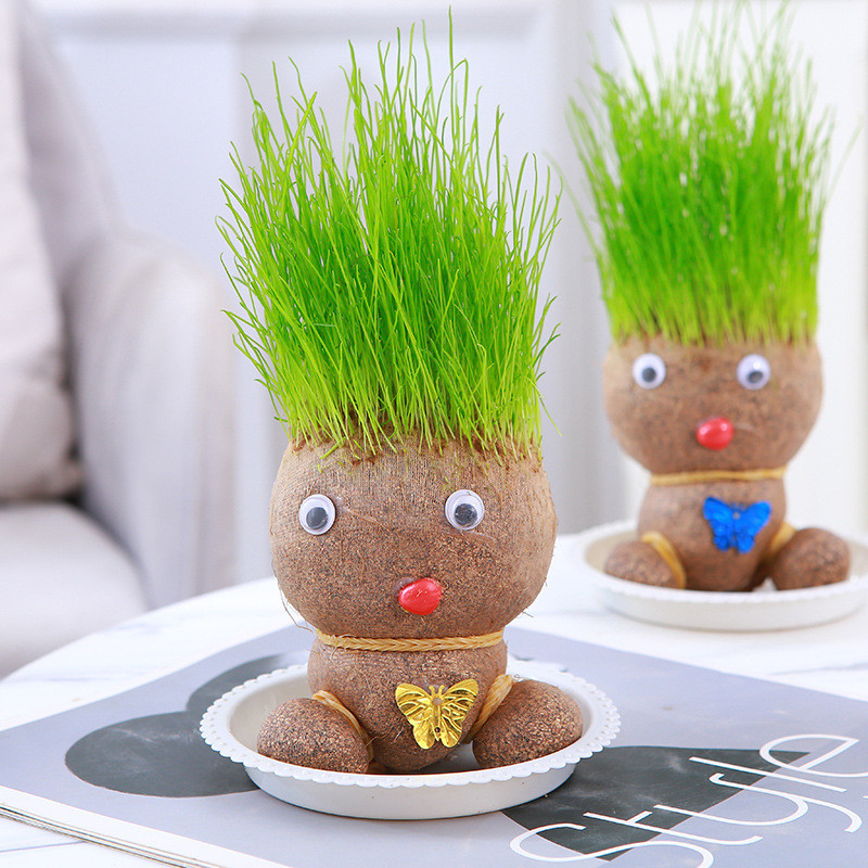 Grass Head Toy Planting for Children Growing Flower Head Doll Ryegrass ...