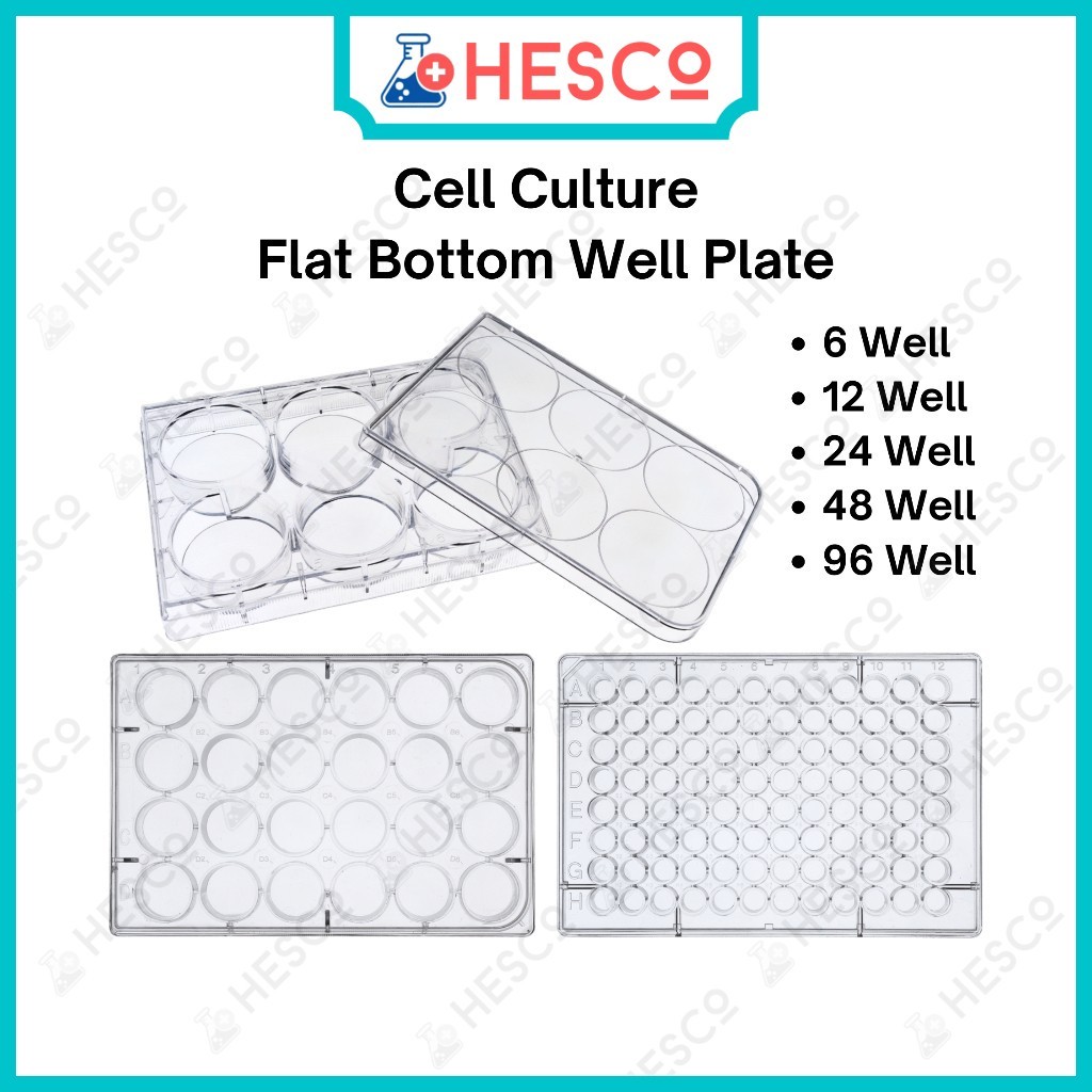 Cell Culture Flat Bottom Well Plate Sterile – 1pc, Polystyrene, EO ...