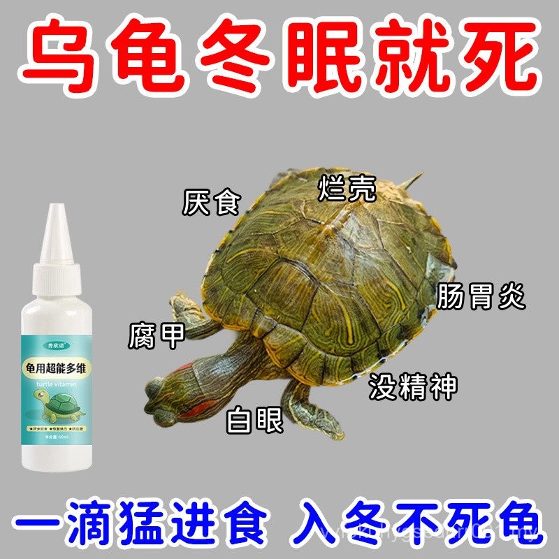 Turtles Use Electrolyzed Multi-Dimensional Anorexic Refuse Eating ...