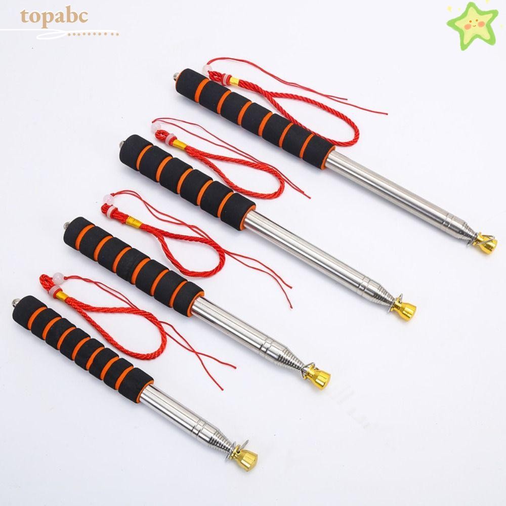 TOPABC 1.6/2/2.5/ Telescopic Flag Pole Flags Windsock Teaching Tools ...