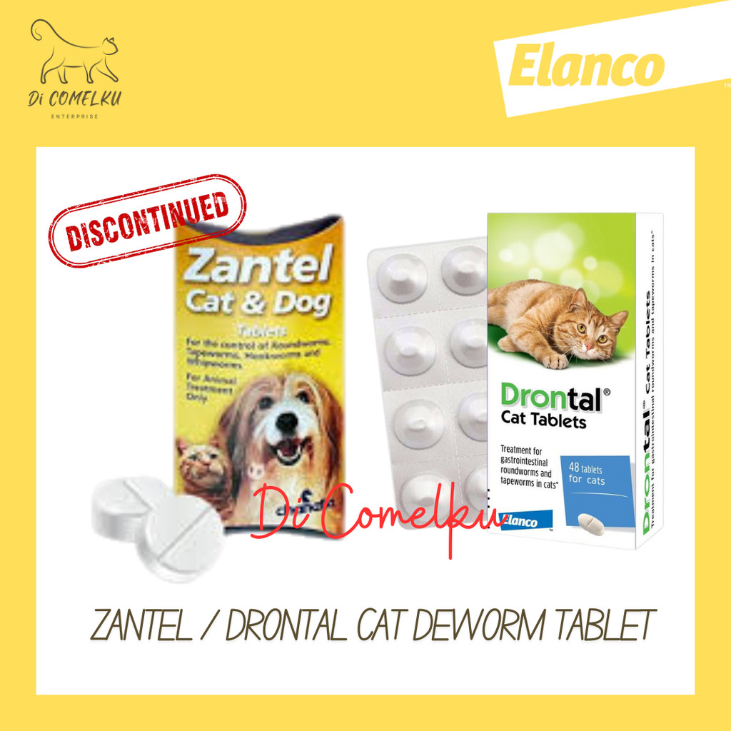 (1 Tablet) Drontal / Zantel Cats Deworm Tablet / Ubat Cacing Kucing ...