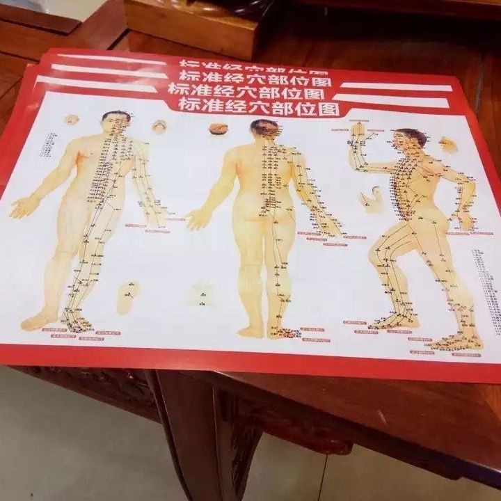 Standard Human Body Meridian Acupuncture Map Household Whole Body Wall Chart Acupuncture ...