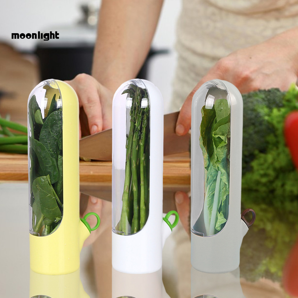 MO Herb Storage for Cilantro Parsley Vegetable Crisper Container Herb ...