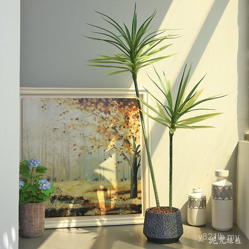 Tumbuh-tumbuhan simulasi Nordik agave besar bonsai lantai ke langit ...