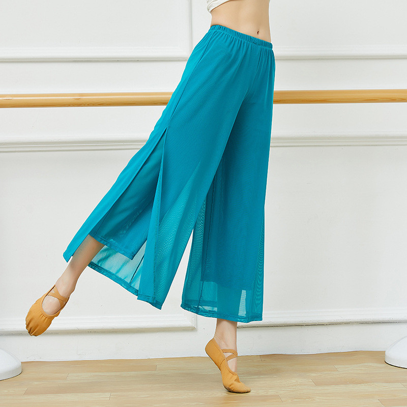 Chinese style, ethnic, elegant mesh wide leg pants, classical dance ...