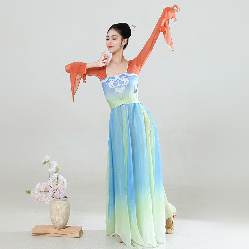 Classical Dance Costume Practice Costume Gauze Long Skirt Chinese Style ...