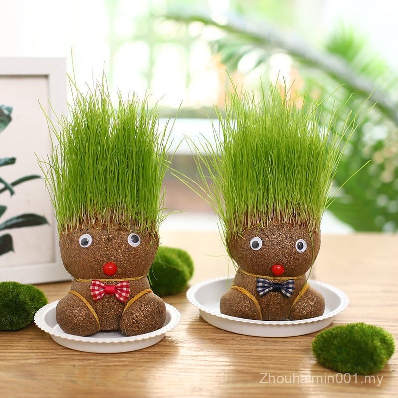Diy Creative Office Mini Potted Plant Long Grass Doll Kindergarten Mini ...
