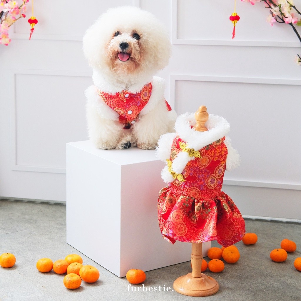Furry by Pomapoo - Cat Clothes and Furry Changsan Red and Furry ...