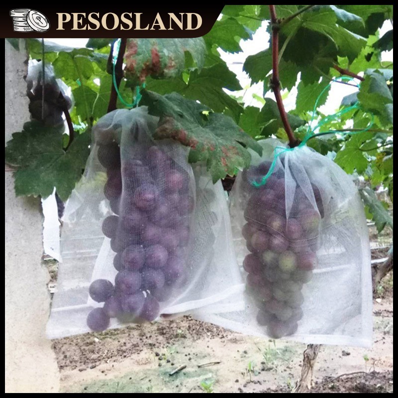 Fruit Barrier Bag Nylon Gauze Nets Seed Bags Garden Insect Proof Plant ...
