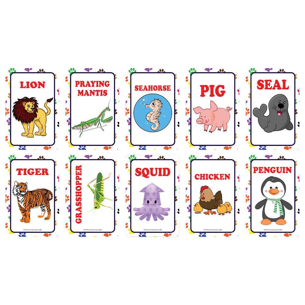 Zoo, Sea, Farm and Pet Animals, Kinds of Insects Learning Cards ( 1 ...