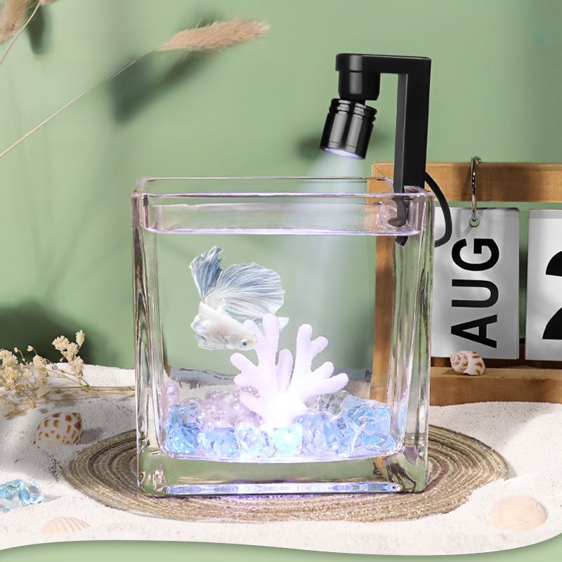 Glass Fish Tank Transparent Isolation Box Office Desktop Mini Small ...