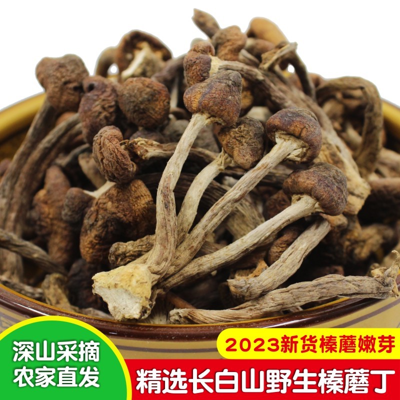 Cendawan Hazel timur laut Barang Kering Khas Liar Gred 500g Cendawan ...