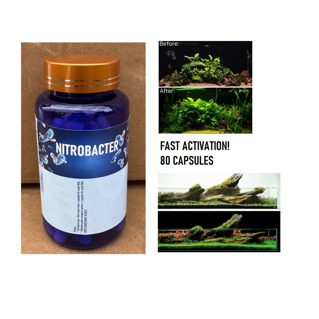 PA Nitrobacter 5th Gen clear water fast aquarium Nitrobacteria fish ...