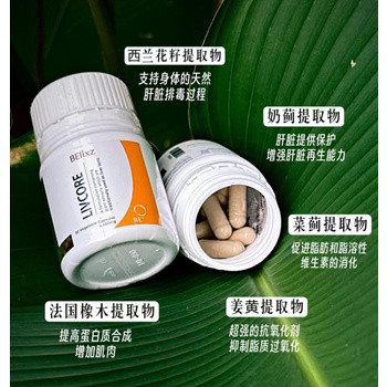 BELIXZ LIVCORE LIVER HEALTH ~ ORIGINAL | Shopee Malaysia