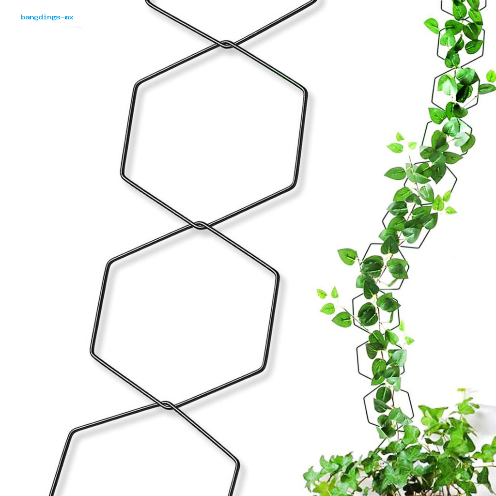 ba Matte Black Paint Plant Support Metal Plant Climbing Frame Hexagonal ...