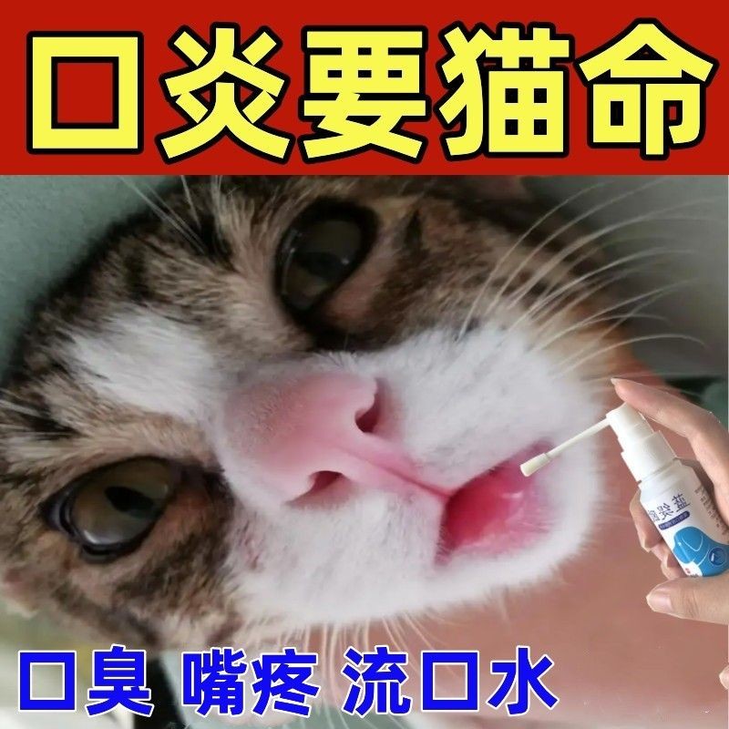 Cat Medical Inflammation Spray Oral Ulcer Gum Red Swelling Pregnant ...